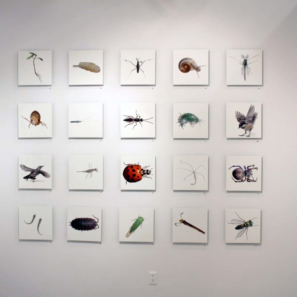 One Cubic Foot: The Genesee River - Rochester Contemporary Art Center ...