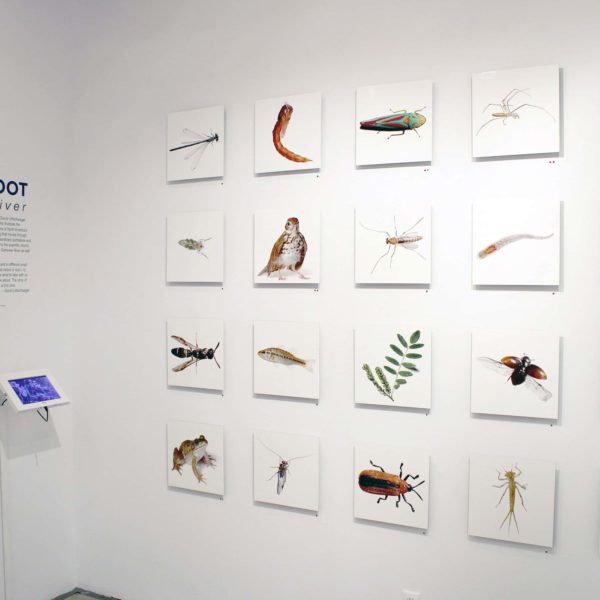 One Cubic Foot: The Genesee River - Rochester Contemporary Art Center ...