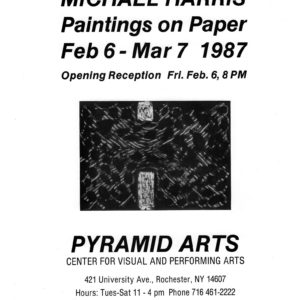 Paintings on Paper - Rochester Contemporary Art Center (RoCo)