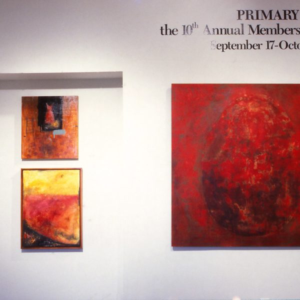 10th Annual Members Exhibition - Rochester Contemporary Art Center (RoCo)