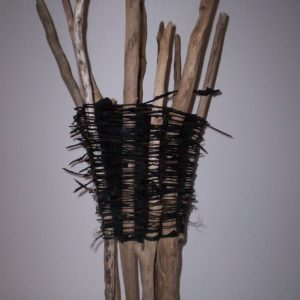 Tony Hess - Rochester Contemporary Art Center (RoCo)
