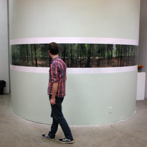 Natura - Rochester Contemporary Art Center (RoCo)