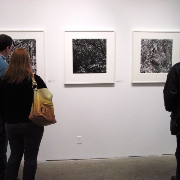 Natura - Rochester Contemporary Art Center (RoCo)