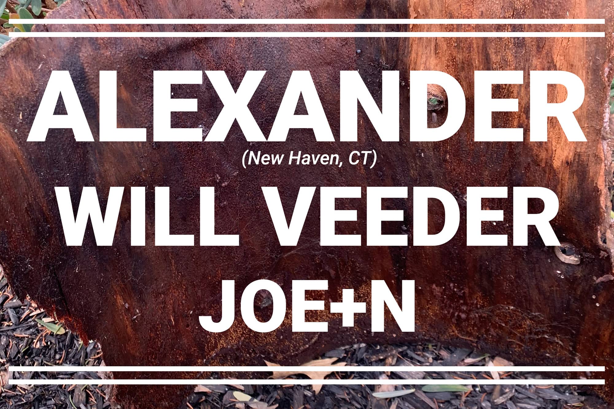 Alexander, Will Veeder, Joe+N - Rochester Contemporary Art Center (RoCo)