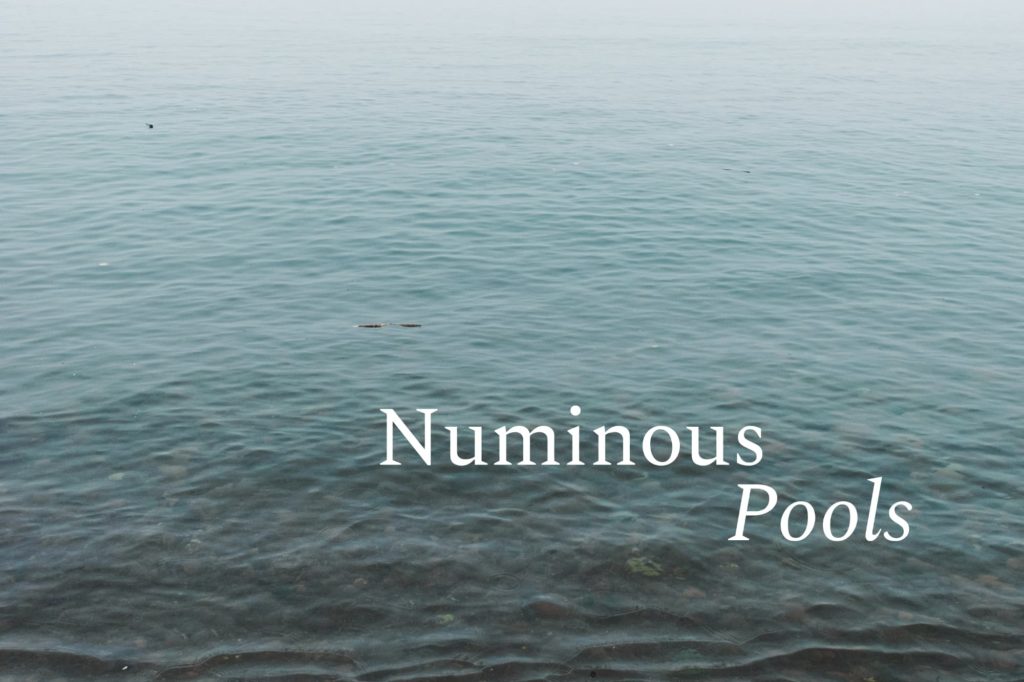 About Numinous Pools by Rachel Poonsiriwong - Rochester Contemporary ...